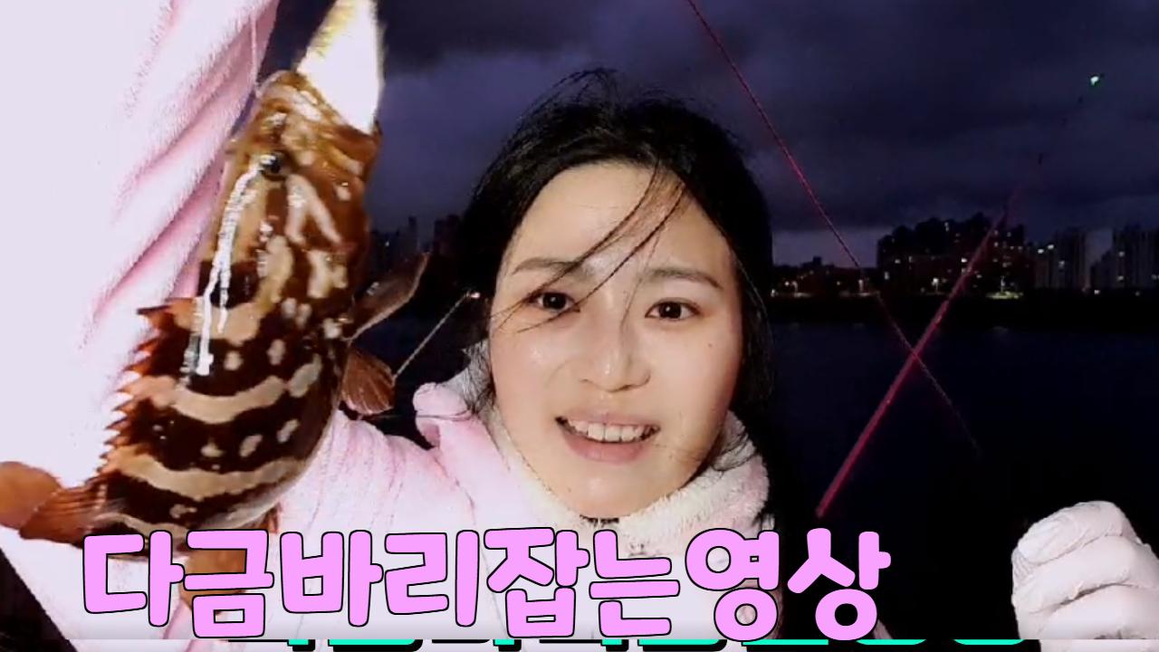 몰캉 다금바리1마리잡는영상 분홍공룡이 낚시해요 5마리 Soop Vod 