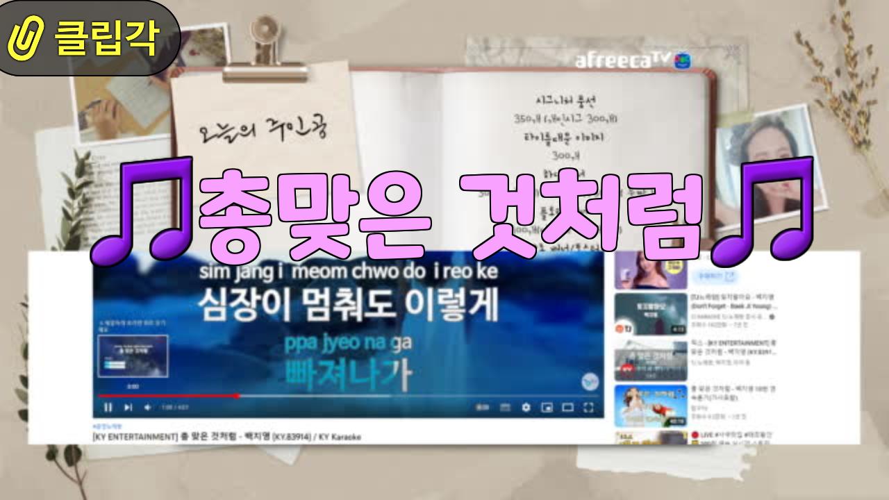 클립 🎶쮸러스 댄동 님x윤블콩님 시그니처풍선 제작방송x제작 신청 가능 맞즐맞팬소통상단배너시그니처풍선제작구독이모티콘