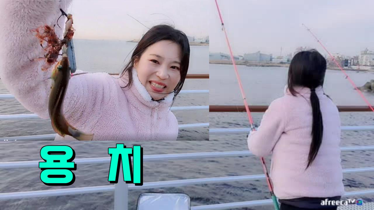 몰캉몰캉 낚시중! 4마리 용치1수 | SOOP VOD