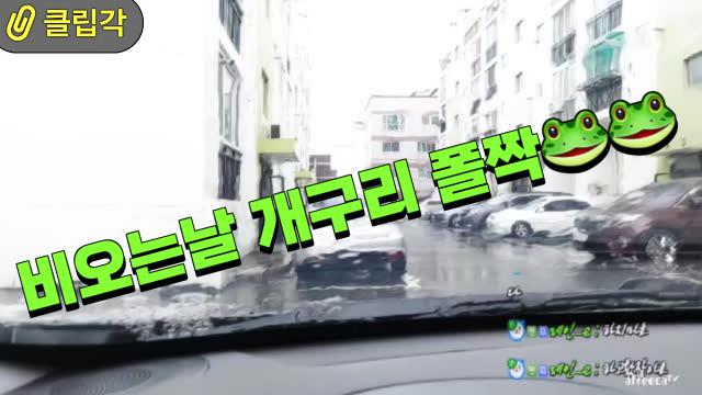 클립 🌈🐸퇴근불금 다들 어다갔나비 겁나게 오네추천 팬가입 부탁요소통풍 애드 1개 도와줍쇼 ~🐸🌈🤣🤣💖🍒🍒🌹🌹