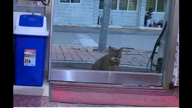 [클립]방장님 미행 후 문밖에서 기다리는 뱅숙 + 구기 | SOOP VOD