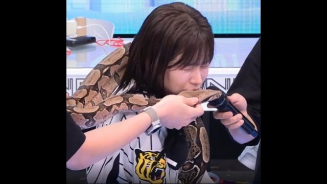 [클립]철구 씨나인 3부 벌칙전쟁..하위5명 뱀 뽀뽀 벌칙 | SOOP VOD