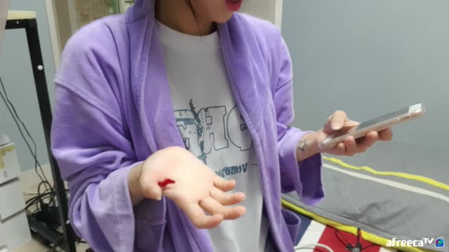 (펫방비제이)83일차 멍멍이들과집사 일상 | SOOP VOD