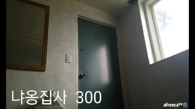 반자연인소프트 서울 부산 걸어가기 국토대장정 시작 2일차 서울 광명 안양 수원 용인 현재용인 리니지빨무남캠철구소통 아프리카