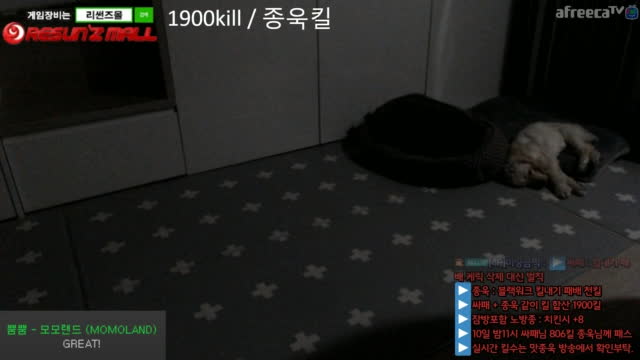 [생]배틀그라운드 싸패 yes or no | SOOP VOD