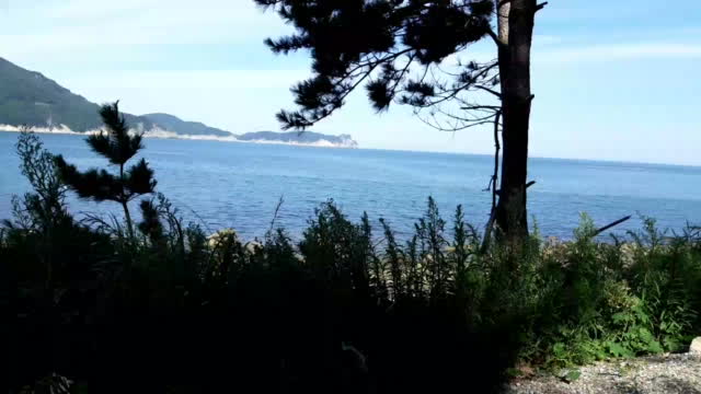 낭만집시생존기62일차 현실배그 버거킹 햄버거 가즈아 인간극장x나는자연인이다 미션야생야방낚시쿡방먹방게 임판사님 Soop Vod