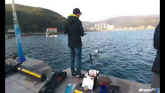 거제 지세포 바다찌낚 감성돔 고등어 통영 거제 고성 배스낚시 혼술 캠핑 바다 낭만 먹방 남캠 아프리카tv Vod
