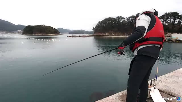 섬 야영2일차 거제 화도 감성돔 바다낚시 반유동 찌흘림 감성과 낭만 Soop Vod