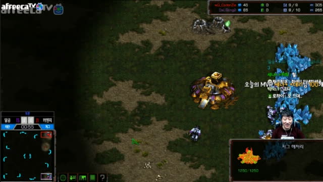 [생]] 세나 ) 카덴지 vs 달공 5/3 | SOOP VOD