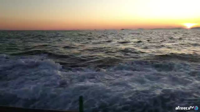 감시30 300개 실패시 본사님 회전초밥 남해 미조 재도전 흘림 바다낚시 In 거제도 감성돔 With친시님 본사님 먹방