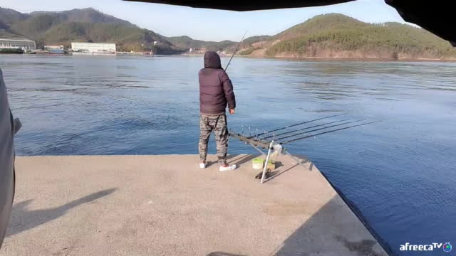 66일째거제도 칠천도다리밑 살려고바둥바둥거린다 숨쉬기힘드네 ㅡv낚시m캠핑m먹방m여행m욱이vㅡ 아프리카tv Vod