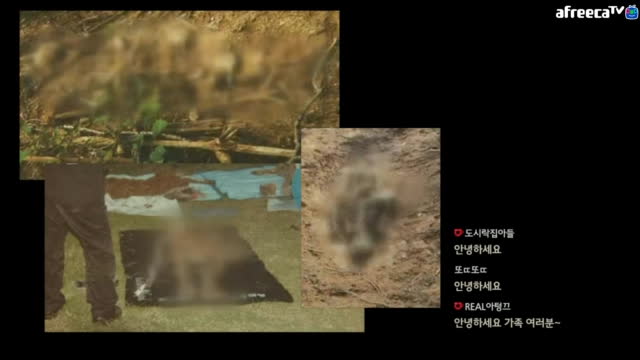 생 ※긴급생방※ 1부 그알 군포빌라사건 입중계 2부 순창 손목없는 백골시신 미제사건 분석ㅣ토요사건팩트 Soop Vod
