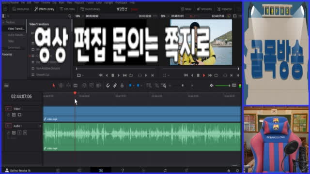 편집하면서피드백영상만드는중기본적으로고쳐야할것들핫동유튜브의뢰문의쪽지부산대전광주대구편집자남캠여캠신입자연야외얼평술먹방소개팅자