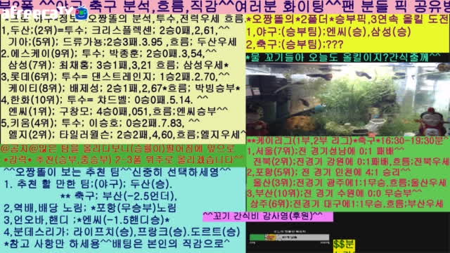 생 오짱똘의 스포츠 일상2연타승부2폴 성공 야구축구분석흐름직감음악8090낚시뉴스게임먹방캠핑