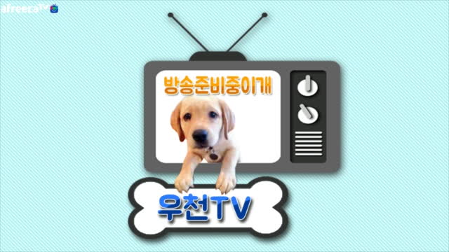 생 우천tv 리니지m 기르타스6서버 요땡 100만실패 30만 드슬갑니다 나오는거마찌 리니지2m 불도그 만만 쌈용 킹덤 똘끼