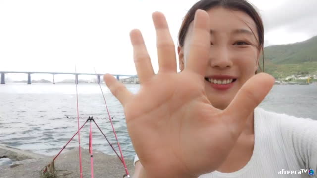 오늘은 기필코 참돔 감성돔 가즈아 ♥수중전 낚시♥거제x통영x부산 4대돔 기록갱신 ♥속초 핵빵디 경남 남해 왔디 아프리카