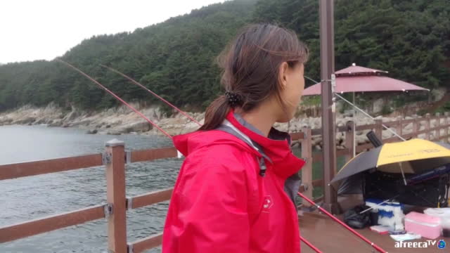 2부 오늘은 기필코 참돔 감성돔 가즈아 ♥수중전 낚시♥거제x통영x부산 4대돔 기록갱신 ♥속초 핵빵디 경남 남해 왔디
