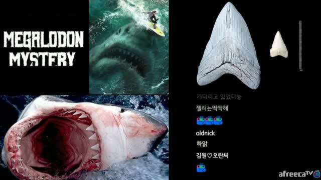 생 500만년 전 화석 테스트 심해 생명체 메갈로돈 미스테리 ㅣ진실 Or 거짓ㅣ일요미스테리 Soop Vod
