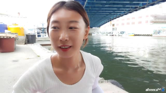 전갱이2 대왕전어1 황어2♥아침 생활 낚시 도와주세요 ♥강원도 속초 핵빵디 양양x고성x동해x원투낚시x찌낚시x루어 아프리카tv Vod