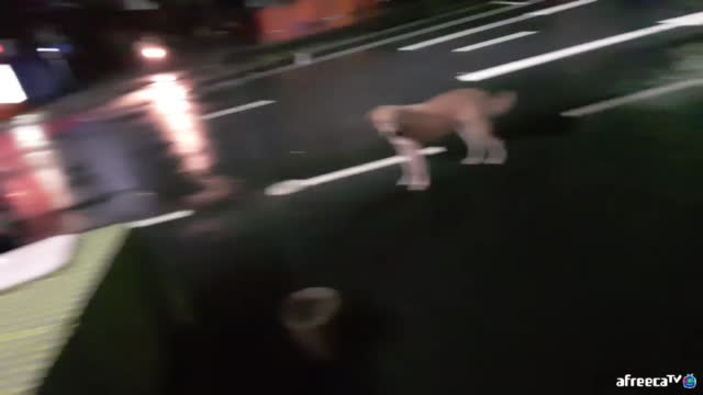 태국 푸켓 물바다ㅜ 내일 3주년 방송합니다 통닭30 도미노피자 30 준비끝 해외코믹방송 베트남 일본 강남 동남아 세계여행