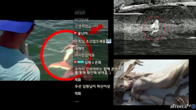생 소름주의 전설의 생명체 실제 인어 미스테리ㅣ인간은 인어에서 진화했다ㅣ일요미스테리 Soop Vod