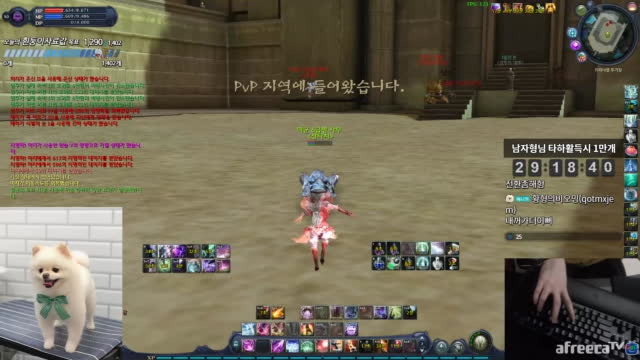 아이온 클래식 황사영 마도성 지켈바이젤 살성궁성정령마도 타하활먹으면 1만개 미션 ㄱㄱ Soop Vod