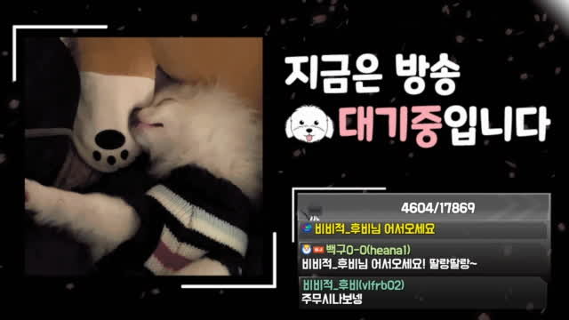 생신입男 20일차 백구x벨라x경이띠x우재 스배경쟁전 오늘컨디션이 안좋아요 ㅠㅠ 합방납치 환영 킬룰렛 미션환영 맞추