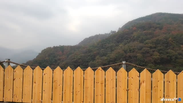 나혼자차박캠핑2일차 2박3일 노방종 씻구 김밥만들기 쿡먹방♡캠핑여행낚시여캠 아프리카tv Vod