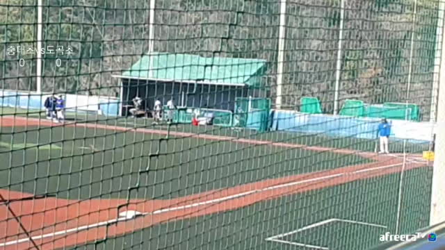 서울컵U12 중대초vs도곡초 경기(11/12) | SOOP VOD