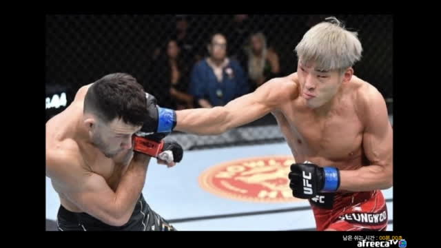 생ufc275최승우강경호테세이라프로하즈카세브첸코장웨일리옌드레이칙wwe손흥민토트넘스포츠분석ufc격투기축구실시간호날두pl