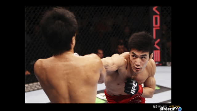 생ufc275최승우강경호테세이라프로하즈카세브첸코장웨일리옌드레이칙wwe손흥민토트넘스포츠분석ufc격투기축구실시간호날두pl