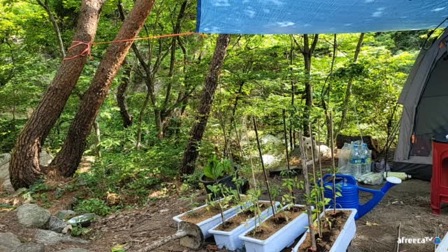 자연에사는놈 아침짜장밥 쿡방 입수 야생비박시골자급자족무인도생존산청합천입수