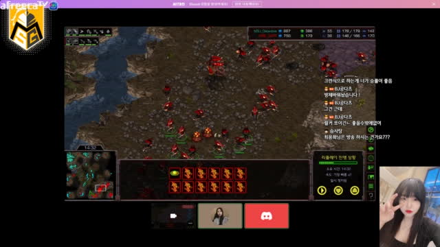 [MSG] 8티어 저그 최용화 교수님 수업 ! | SOOP VOD