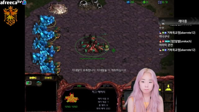 JSA ) 5커세어 토스 상대법 준오샘 5뮤탈 | SOOP VOD