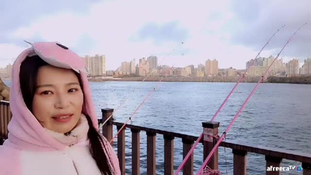 잡은 다금바리1마리 회 썰어먹어요외 총20마리 잡았어요 아프리카tv Vod 