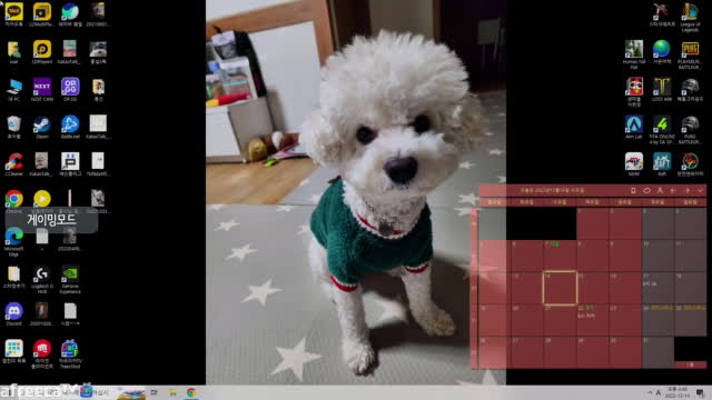 홍시 z_z | SOOP VOD