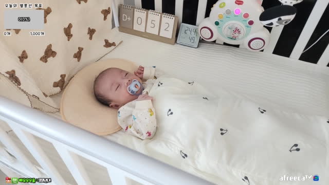 킹기훈 육아52일차 점심뭐묵지 | SOOP VOD