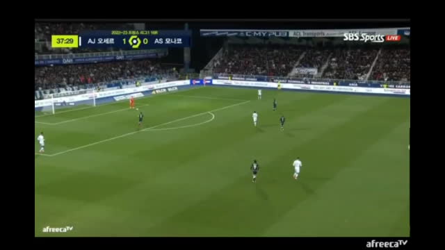 생김민재나폴리프랑크푸르트레알마드리드리버풀사우스햄튼브라이튼손흥민6호골토트넘스포츠분석ufc격투기축구실시간pl 아프리카tv Vod