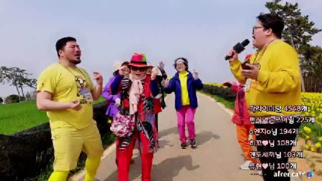 [BJ탐방대]신안선도 수선화 축제 돼지꽃이 피었습니다! [강서/ASG/댄동] | 아프리카TV VOD