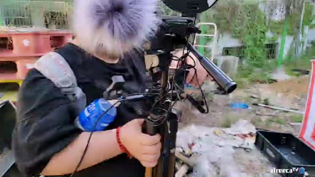 Ayg 서울제니누나와 도사형님오셨이요 흉가가기전 루토집부터 점검🥶와이퍼세찬탕구세윤노진구나루토실시간방송부천