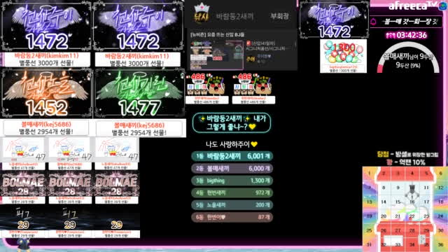 🚨 신입141일차 💛정권교체😍갓ㅡ사ㅡ장💛제작bj 주이짱 뽑기판 시그니처풍선 타이틀 프로필 퍼스나콘 구독티콘 배너