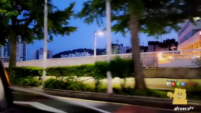 [파피] 부산에서 mp.4 마꼬 혜랑 허억두 | SOOP VOD