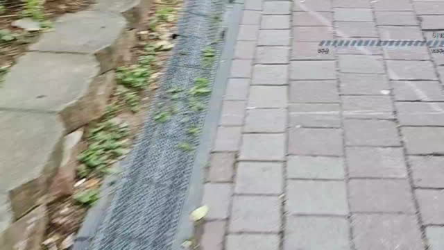 토크쇼2년 6개월만에 첫 백두산감사합니다 마지막조언해주실분 Fa간절한나어디들어갈동아리나크루없을까 Dk1인엑셀연합상사