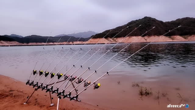 왔어피싱 장어낚시 대회 (낚시x대회xftv촬영) 아내고기 | SOOP VOD