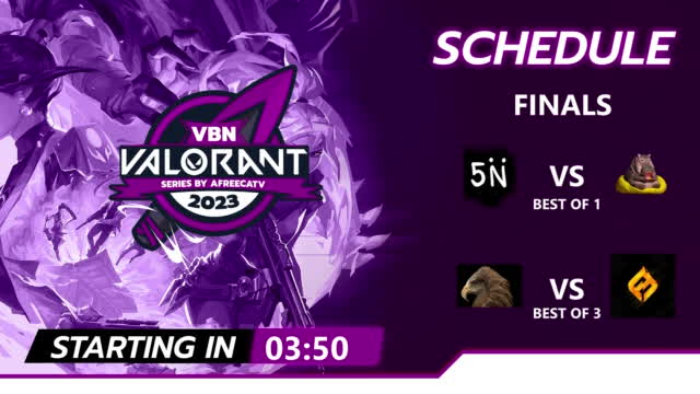VBN VALORANT 2023 Series By AfreecaTV: August - Finals | SOOP VOD