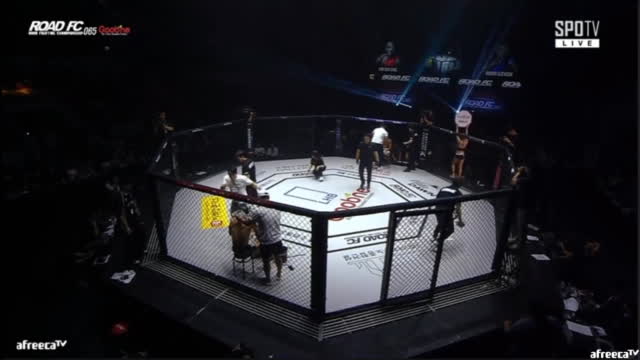 생ufc정찬성할로웨이최승우에렌스카세레스치카제로드fc065김수철아제베두손흥민토트넘본머스스포츠분석축구격투기실시간pl 아프리카