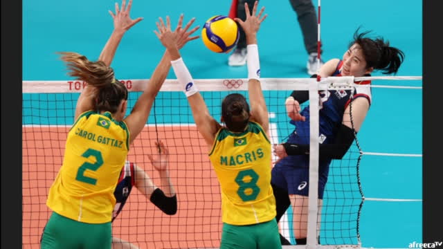 생김연경대한민국호주일본중국태국베트남여자배구아시아컵손흥민3호골토트넘번리류현진토론토콜로라도컵mlb야구ufc스포츠분석축구격투기실시간