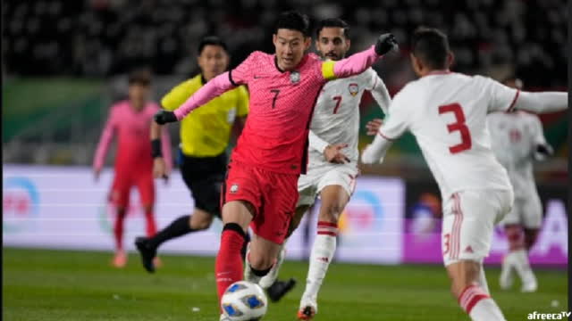 생손흥민대한민국웨일스프랑스아일랜드네덜란드그리스폴란드세르비아류현진토론토오클랜드mlb야구토트넘번리ufc스포츠분석축구격투기실시간pl