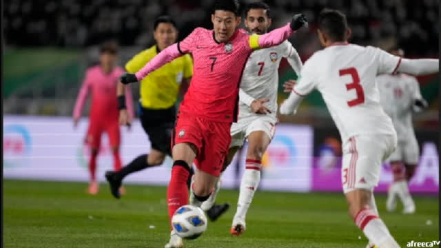 생손흥민대한민국사우디미얀마일본튀르키예중국시리아포르투갈메시마이애미캔자스시티손흥민토트넘ufc스포츠분석축구격투기실시간pl