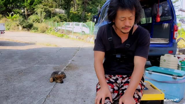 10월14일 짬낚 사료를 안먹네요 금쪽이인가요 크루원 나리와 노숙 11일차레알야생노숙낚시생존시청자택배생존